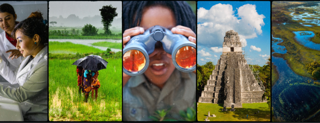 Captivating Environmental Blogs to Follow in 2024 - One Step